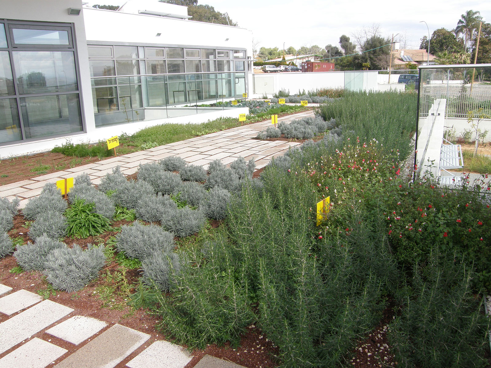 Elementary School – Hod Ha`Sharon | Knafo Klimor Architects